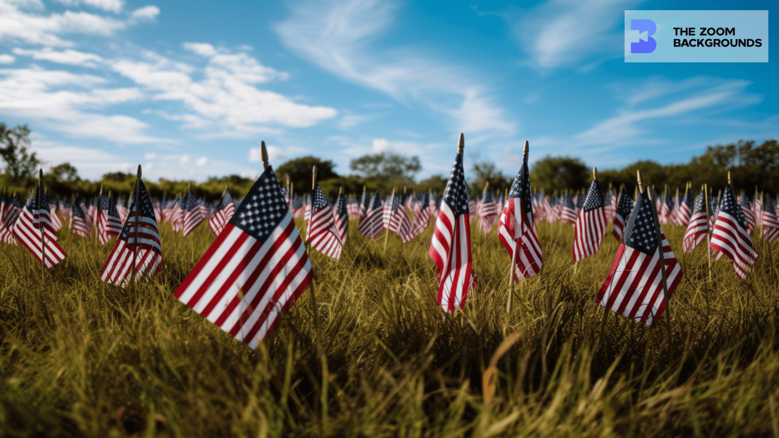 USA Stick Flags Zoom Background – thezoombackgrounds.com