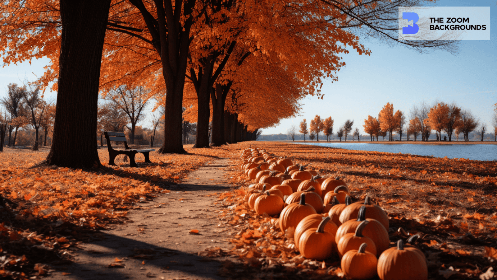 Fall Park with Pumpkins Zoom Background – thezoombackgrounds.com
