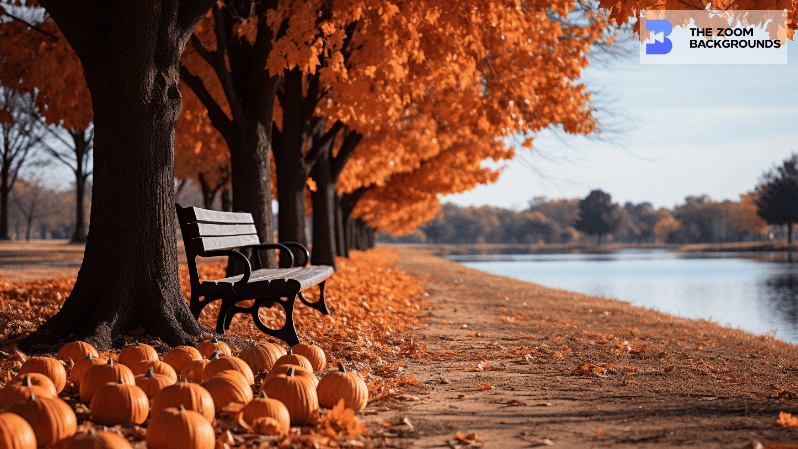 Fall Park Bench Lake Zoom Background – thezoombackgrounds.com