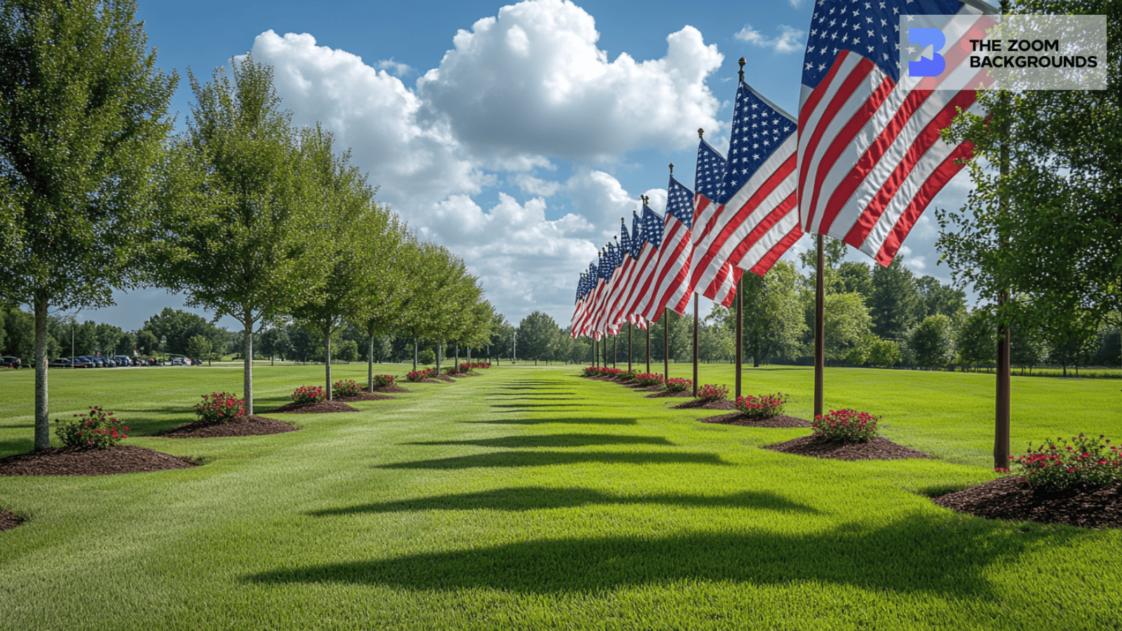 A Green Grassfield with a row of American Flags Zoom Background ...