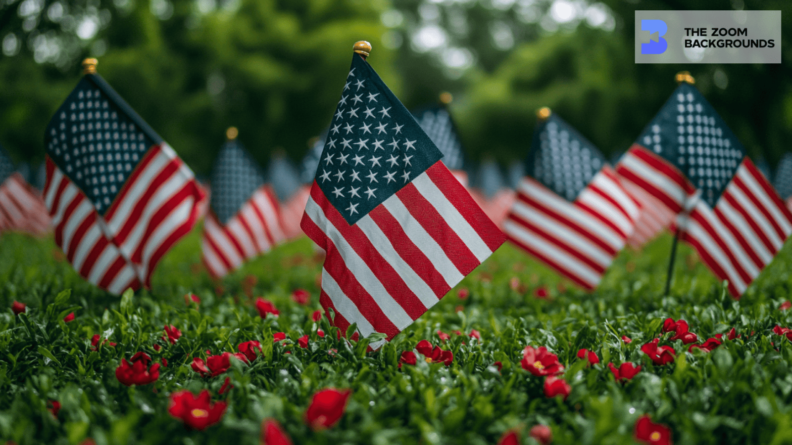 A Field of Small American Flags Zoom Background – thezoombackgrounds.com