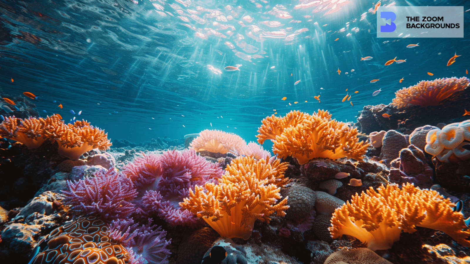 Orange Coral Reef Zoom Background – thezoombackgrounds.com