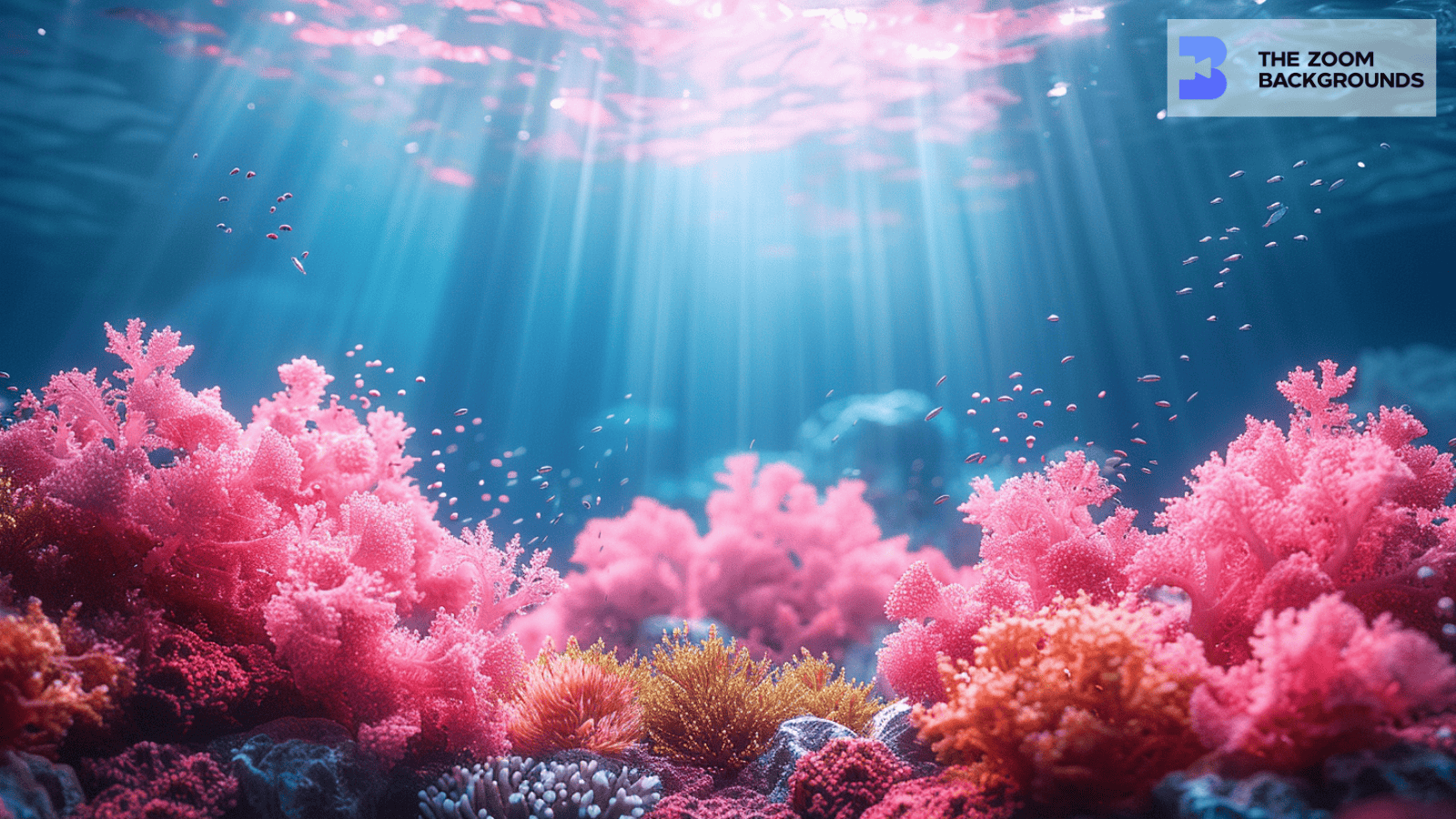 Pink Coral Reef with Sunlight Zoom Background – thezoombackgrounds.com