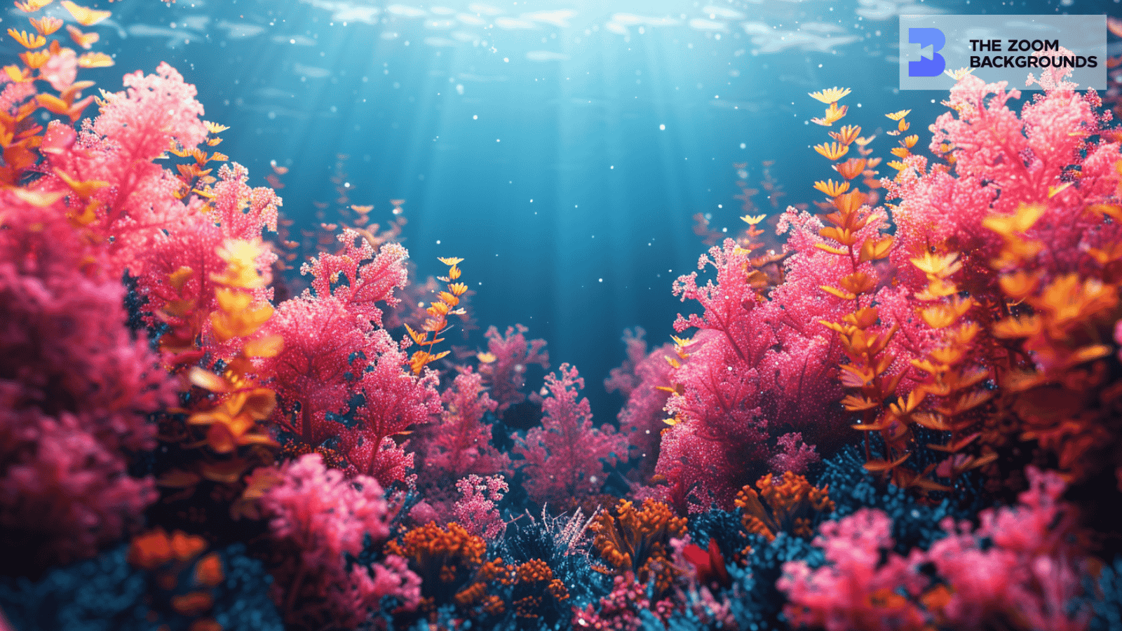 Underwater Coral Reef Zoom Background – thezoombackgrounds.com