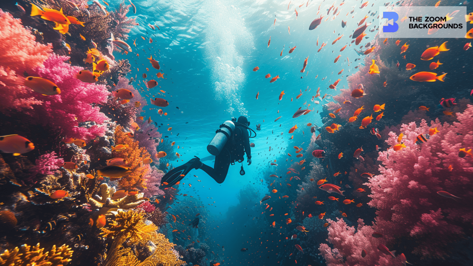 Coral Reef with Scuba Diver Zoom Background – thezoombackgrounds.com