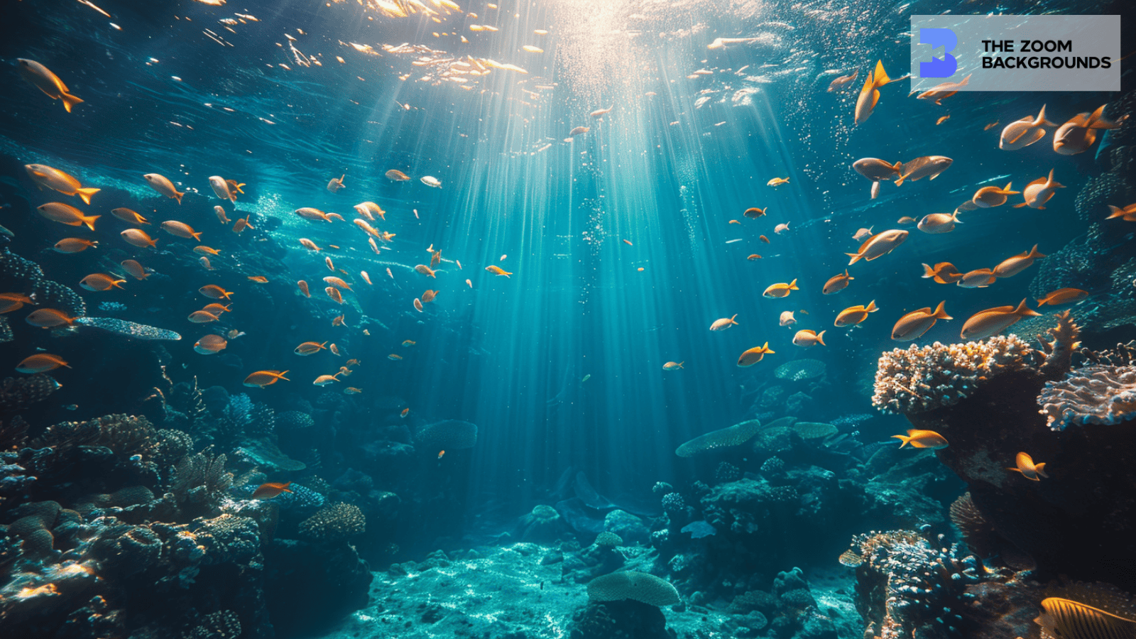 Blue Ocean with Sunlight Rays Zoom Background – thezoombackgrounds.com