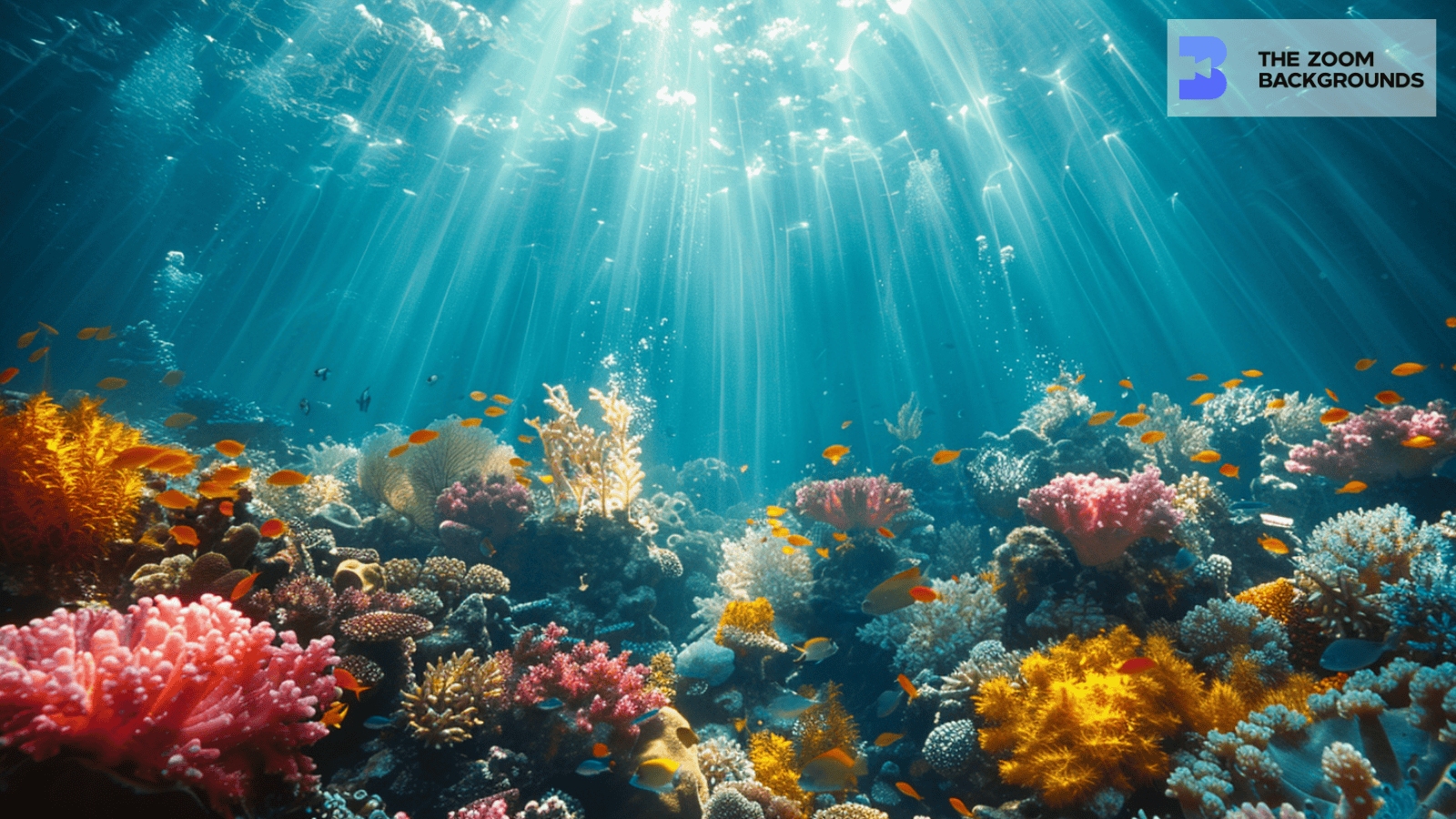 Dim Underwater Zoom Background – thezoombackgrounds.com