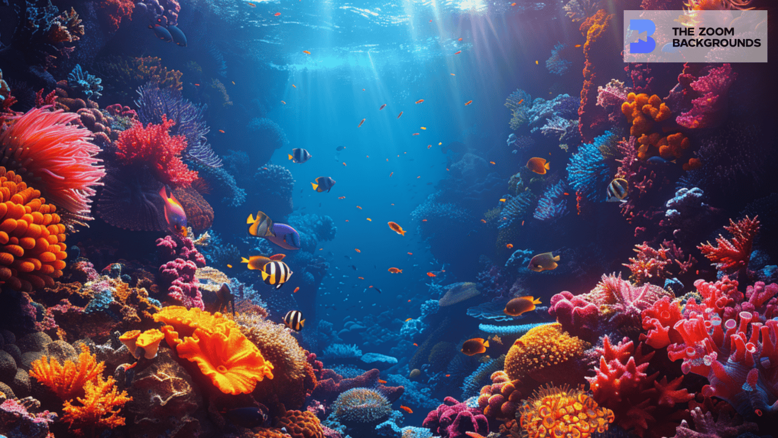 Beautiful Coral Reef Zoom Background – thezoombackgrounds.com