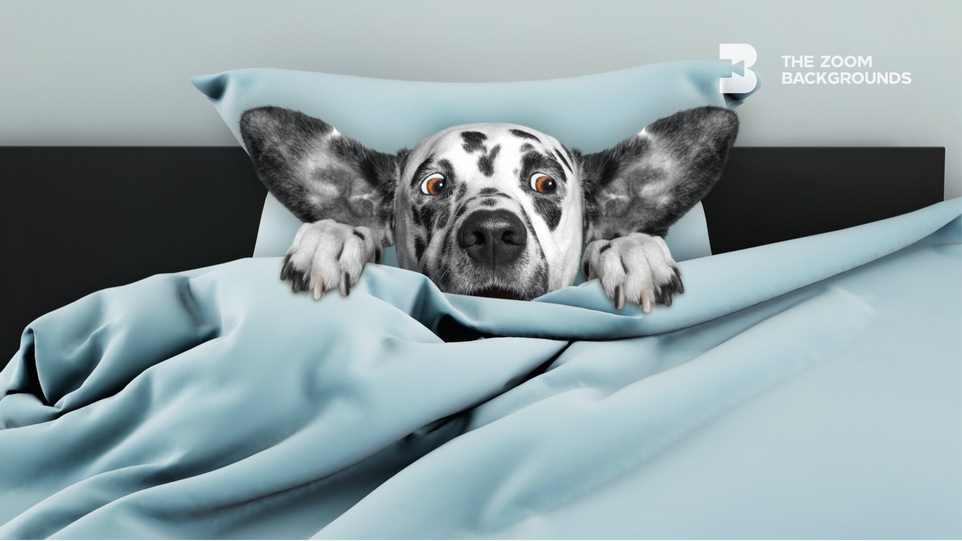 Dog Sleeps In The Bed Zoom Backgrounds – thezoombackgrounds.com