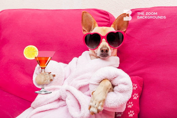 Cocktail Drinking Dog Zoom Backgrounds – thezoombackgrounds.com