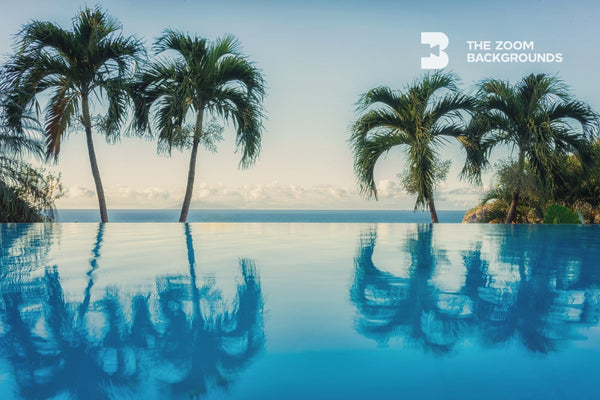 Palm Trees Zoom Backgrounds – thezoombackgrounds.com