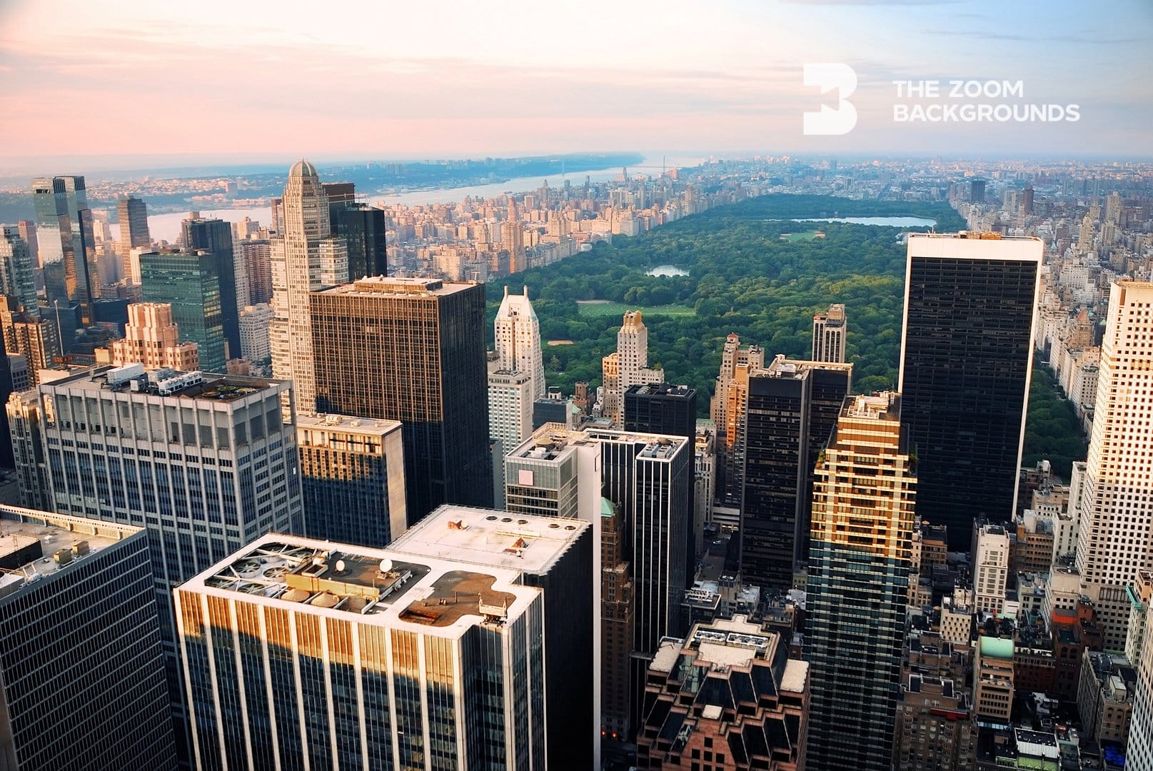 Office zoom backgrounds NY 1 – thezoombackgrounds.com