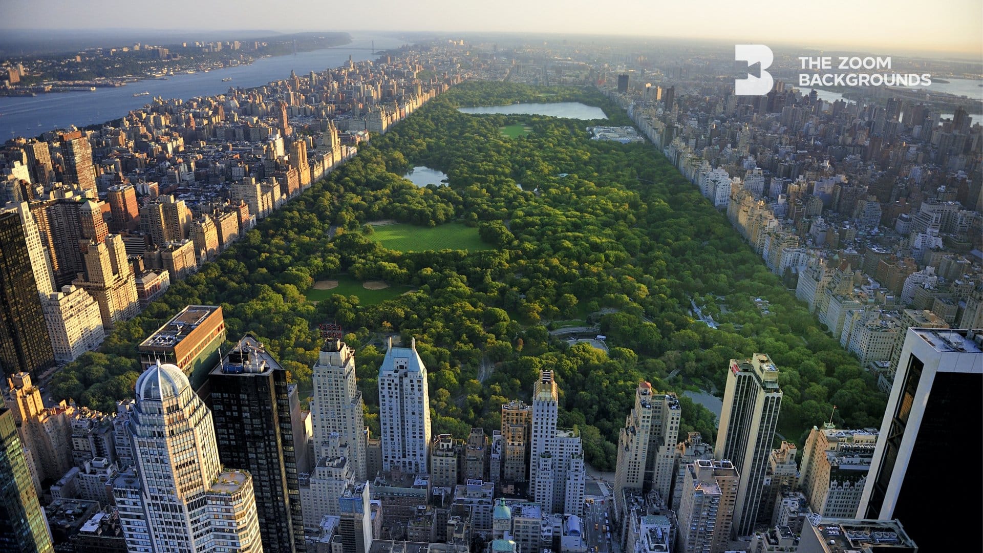 Office zoom backgrounds NY 5 – thezoombackgrounds.com